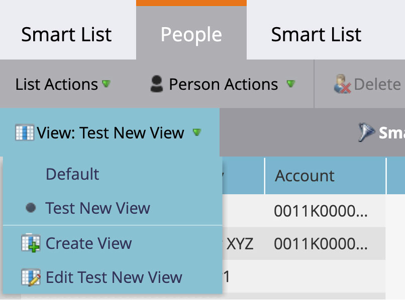 How to Explore Your Marketo Engage Database with List Views - Etumos